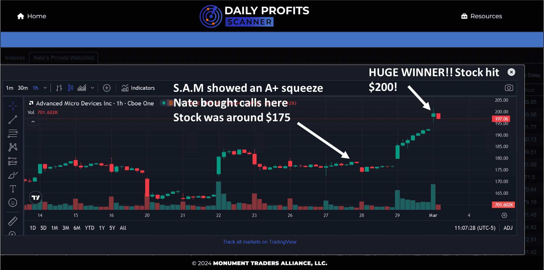 Nate Bear Daily Profits Scanner Review (Real Subscriber) 2025